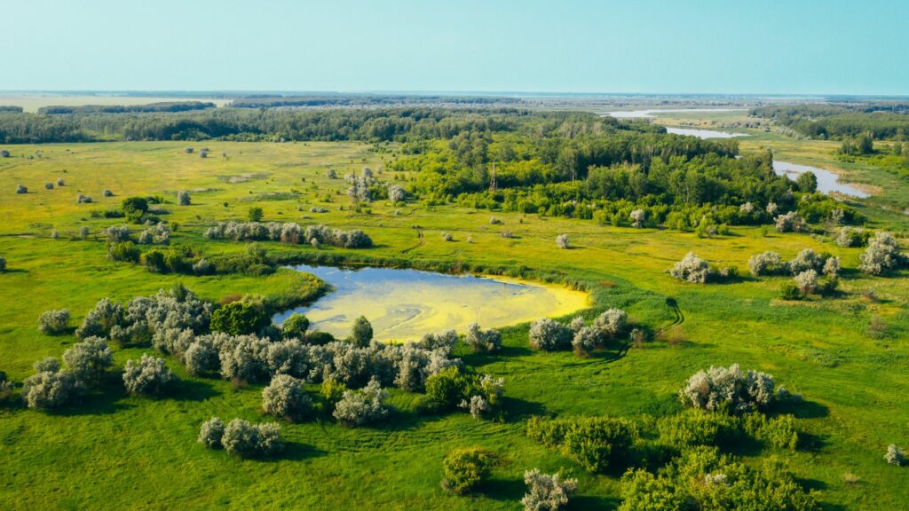 Accession Definition - Real Estate License Wizard